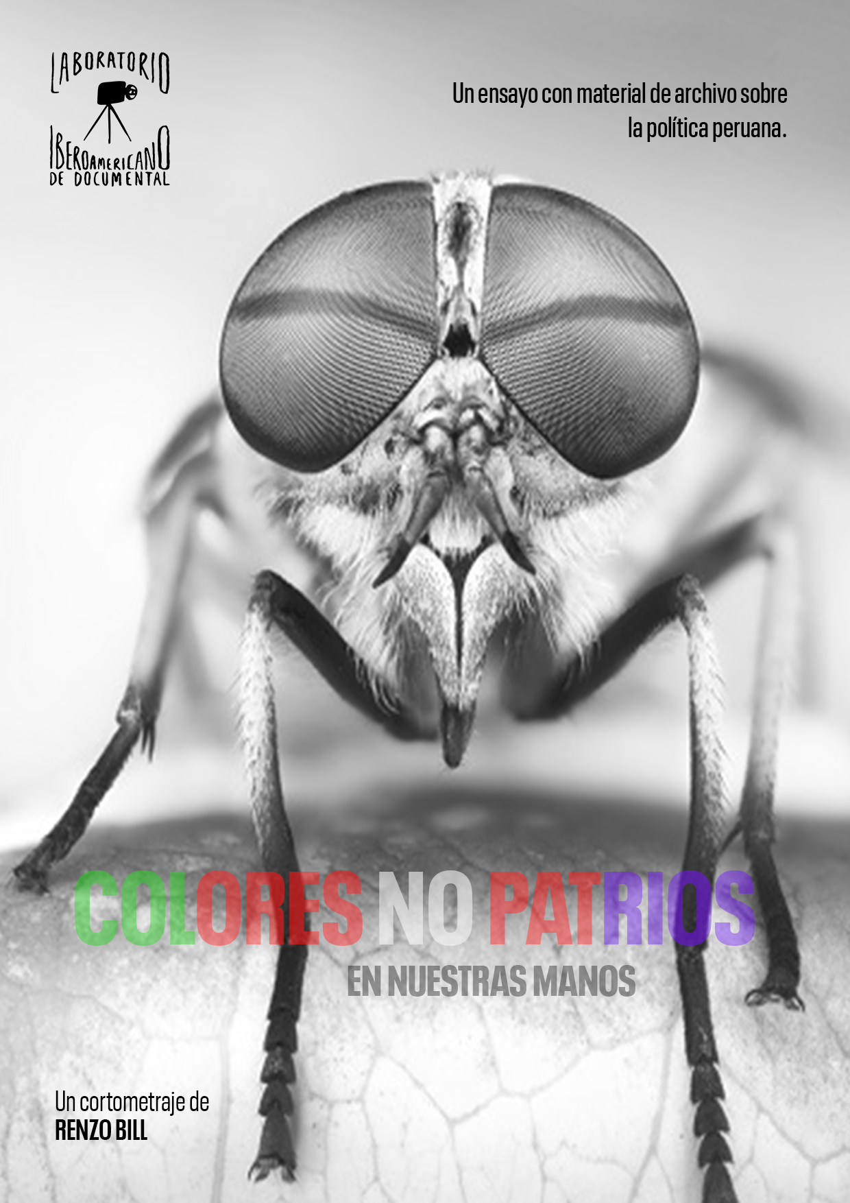 Colores no patrios, ensayo audiovisual de Renzo Bill Cano – Laboratorio ...